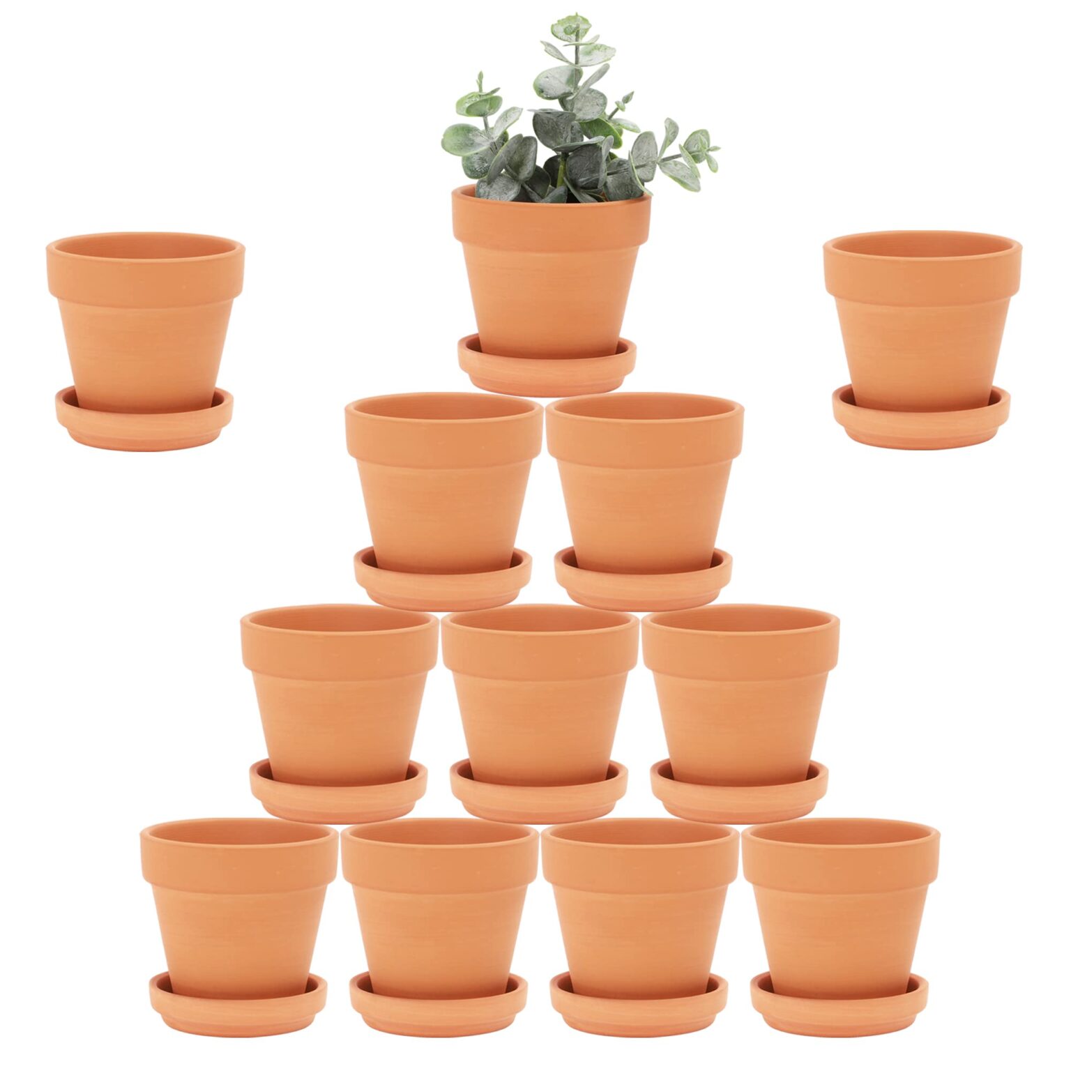 Terra Cotta Azalea Pot: Why Terra Cotta Pots Are Perfect for Azaleas