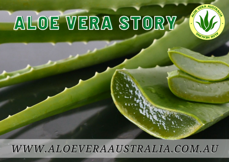 Where Is Aloe Vera Native To? Discovering the Natural Habitat of Aloe Vera