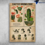 What’s in a Cactus? Understanding the Unique Features and Anatomy of ...