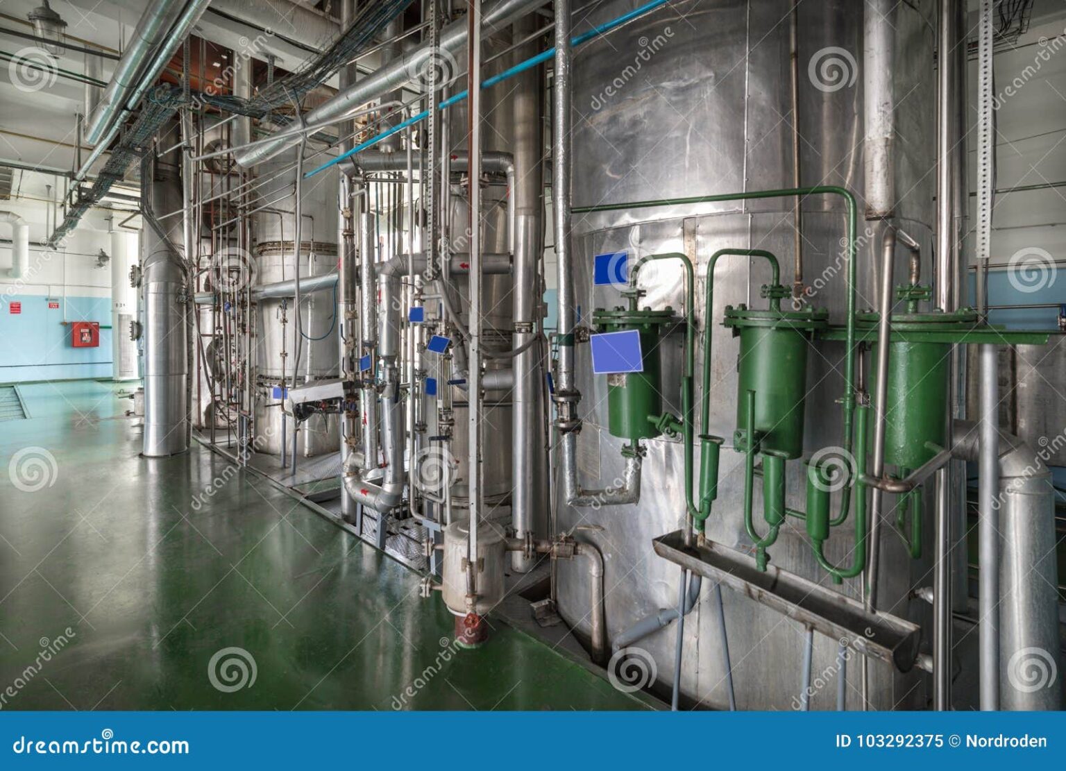 Can a Plant Grow with Alcohol? Exploring the Effects of Alcohol on ...