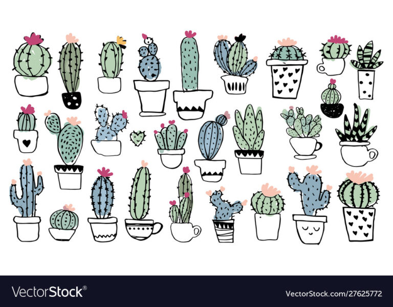 How to Identify Cactus: A Guide to Recognizing Different Types of Cacti