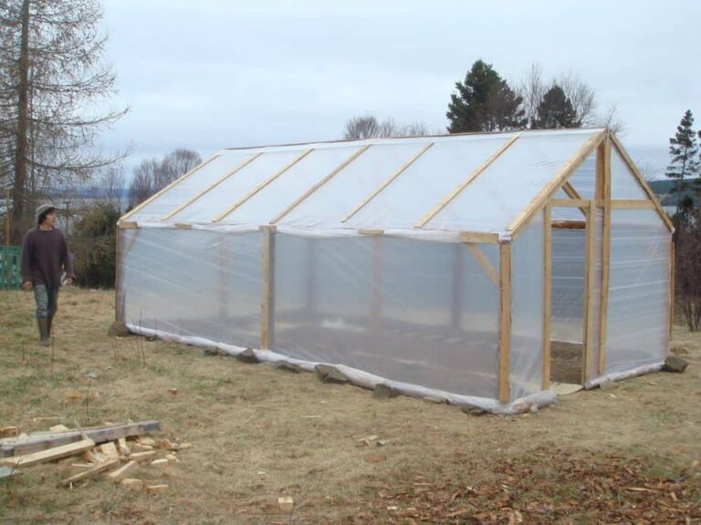 Clear Plastic Roof Panels for Your Greenhouse: Pros and Cons