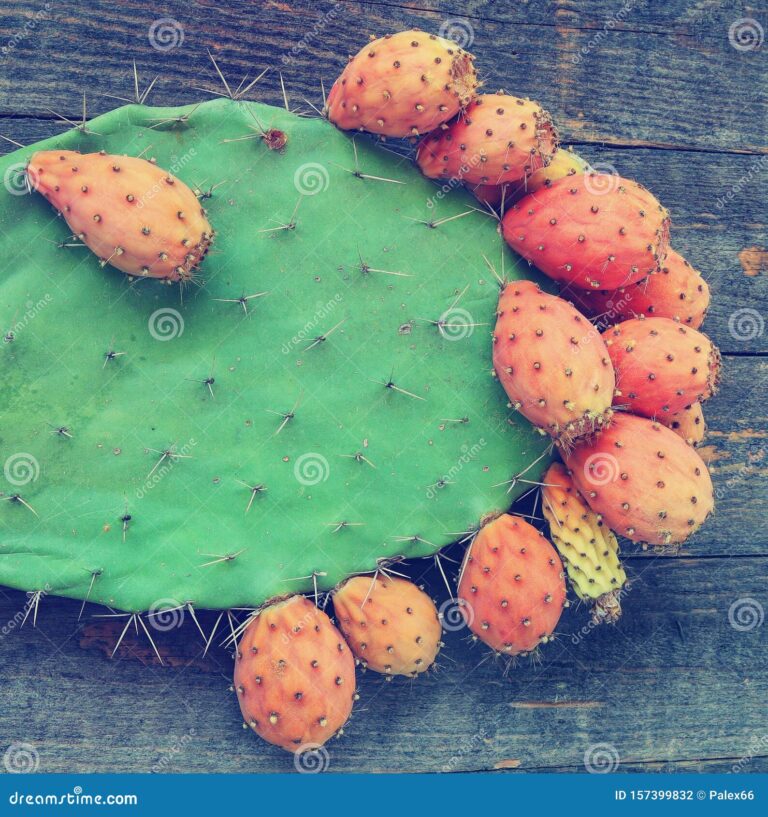 Eating a Prickly Pear: A Step-by-Step Guide to Harvesting and Enjoying ...
