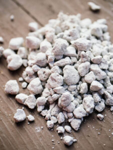 What Does Perlite Do for Soil: The Benefits of Using Perlite in Cactus ...