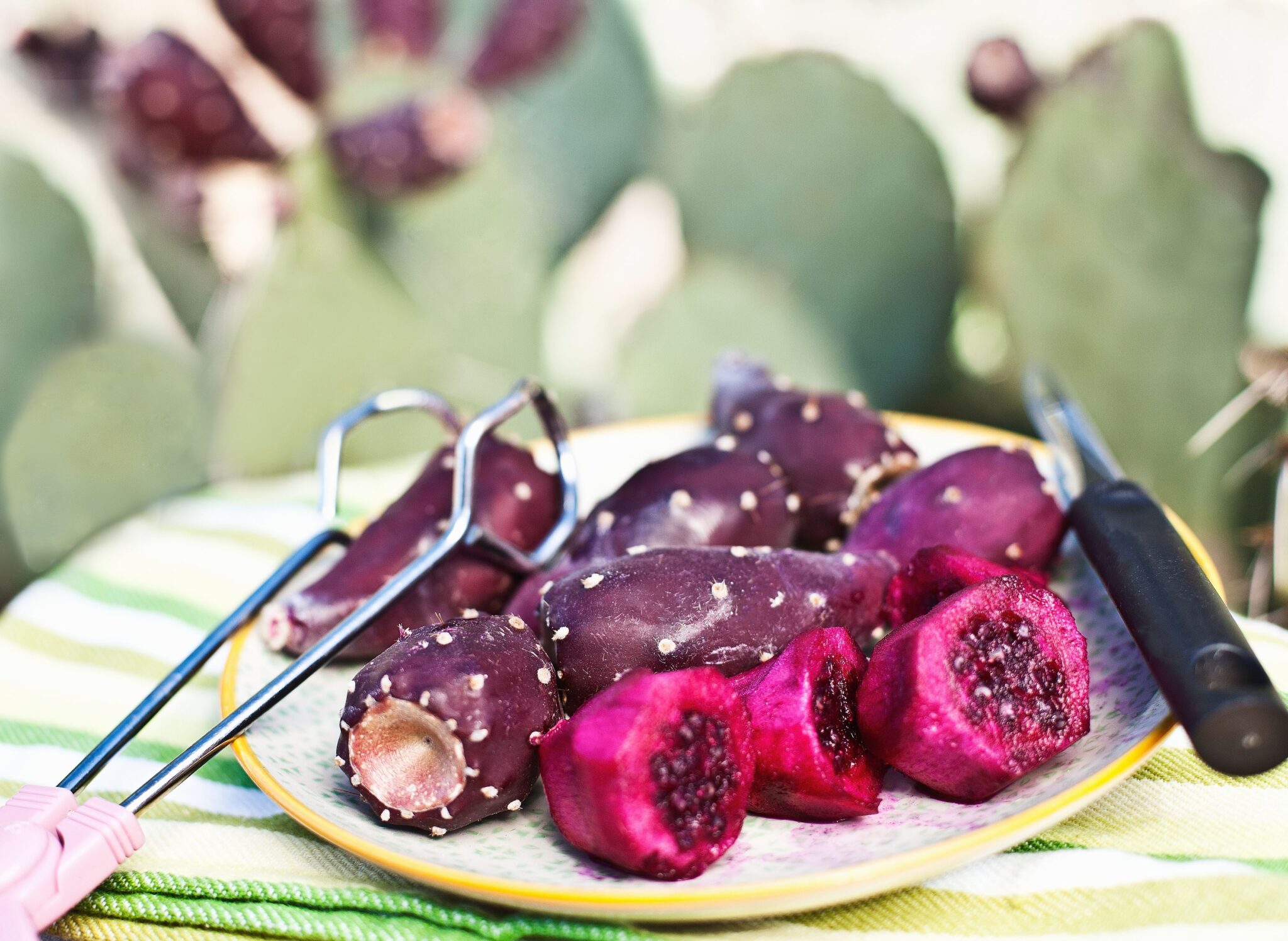 Eating Prickly Pear Cactus Fruit: A Guide to Harvesting and Enjoying Prickly Pear Fruit